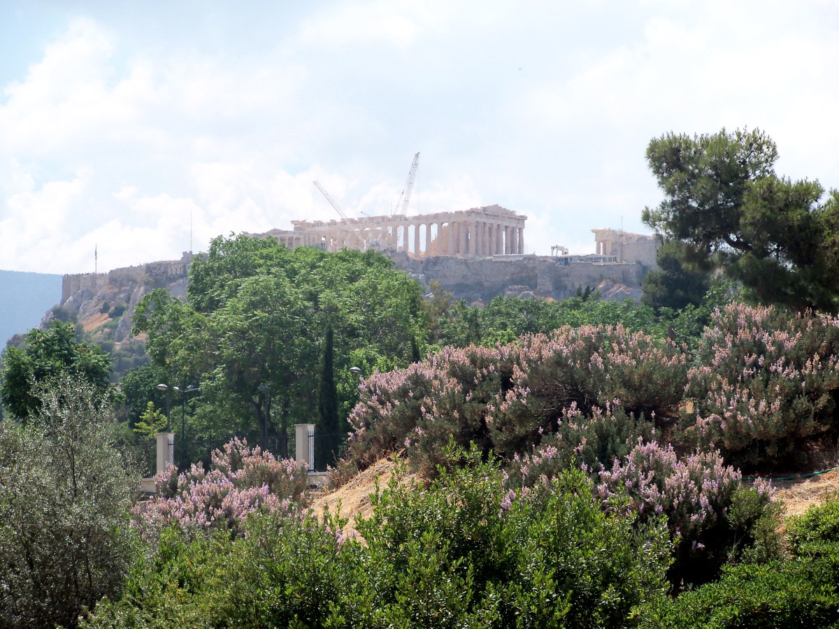 Recent Presentations and Appearances – Stephanie McCarter